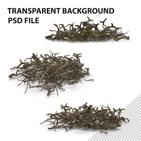 Premium PSD Tree Roots Png
