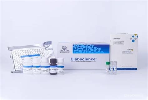 Elabscience E To E024 Elabscience Fumonisins Elisa Kit At Best Price In New Delhi