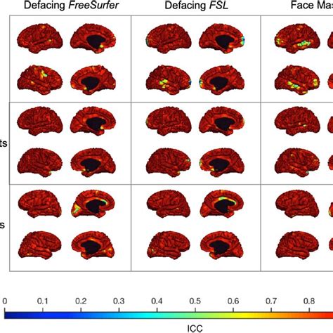 Individual Global Brain Measures Derived From Original Versus