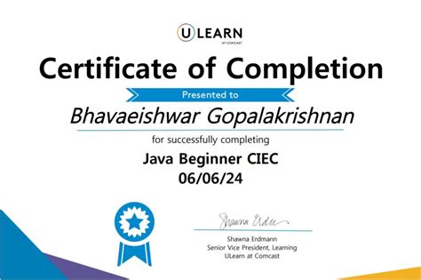 Completed Java Beginner Course Bhavaeishwar G Posted On The Topic