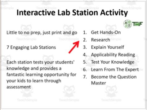 Integumentary System Lab Station Activity By Teach Simple