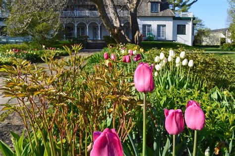 district municipality of muskoka on june 18 muskoka businesses are invited to join the simcoe