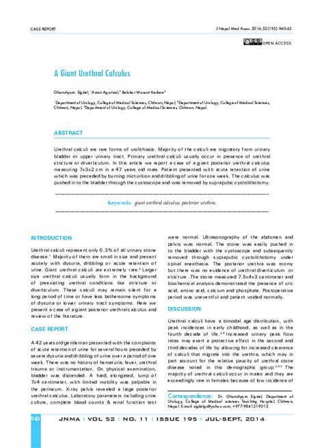 Pdf A Giant Urethral Calculus