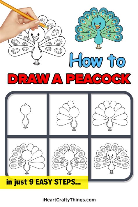 Peacock Drawing — How To Draw A Peacock Step By Step