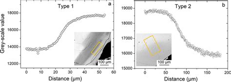Two Types Of Diffusion Profiles Modelled In This Study A Type 1 With Download Scientific