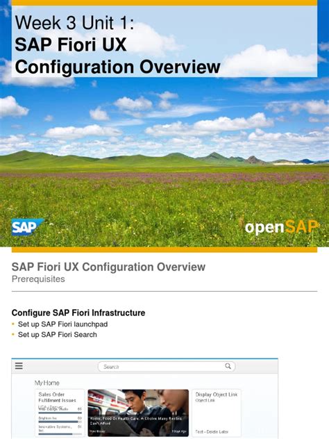 Sap Fiori Ux Configuration Overview Week 3 Unit 1 Pdf