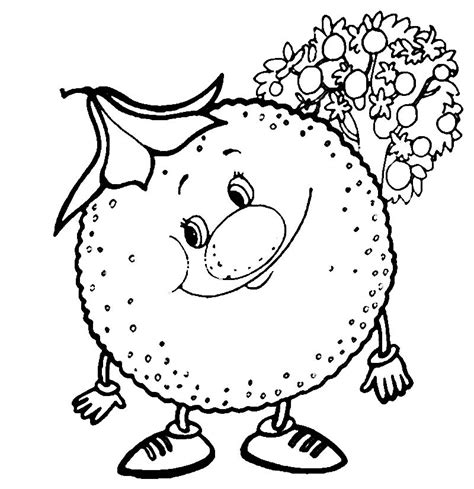 Раскраски фруктов скачать или распечатать бесплатно шаблоны экзотических фруктов для вырезания