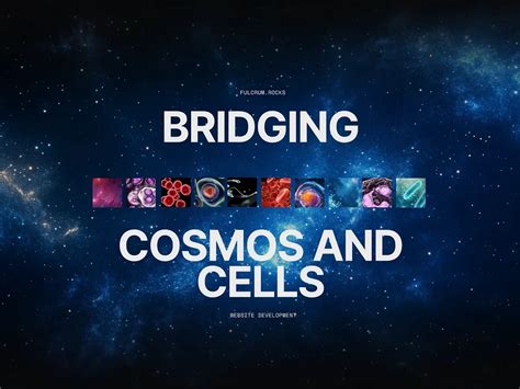 Interactive Ui Designs Themes Templates And Downloadable Graphic