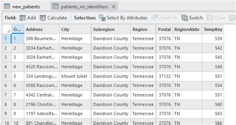 Protect Patient Data When Geocoding Documentation