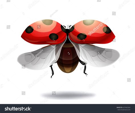 Flying Ladybug Over 4 163 Royalty Free Licensable Stock Illustrations And Drawings Shutterstock