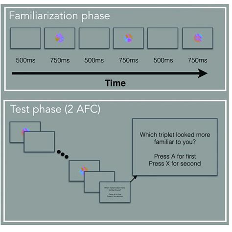 Schematic Of VSL Task In Experiment Download Scientific Diagram