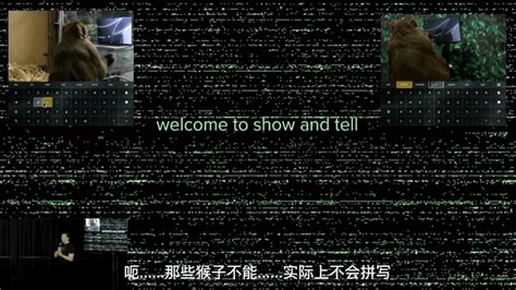 Neuralink大脑芯片植入猴子头骨，n1芯片可以读取大脑活动 It时代网