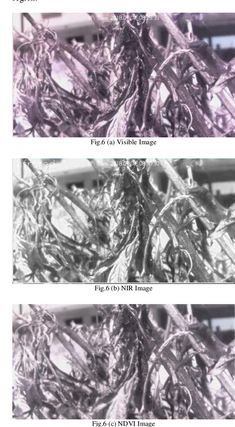 Figure 6 From Plant Health Monitoring System Using Raspberry Pi