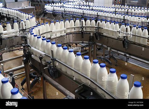 Fábrica de productos lácteos Producción de línea lechera Fotografía de