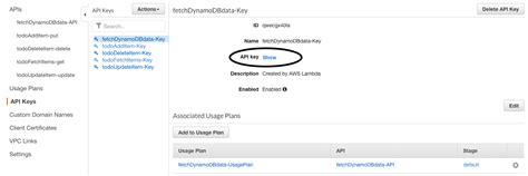 How To Interact With Dynamodb From React Redux Application Vishwasa