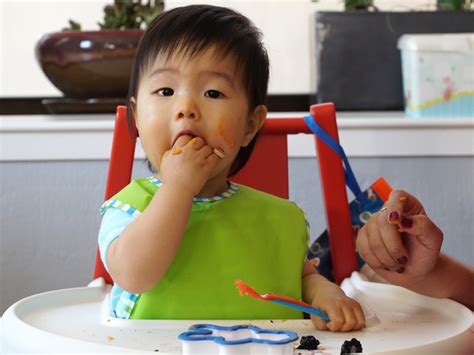 17 Month Old Milestones Navigating The Emotional And Physical