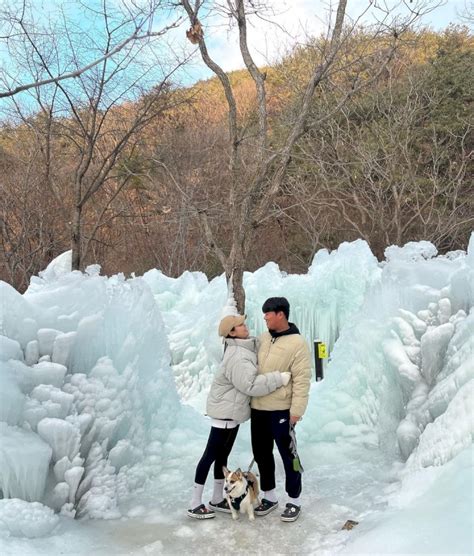 반려생활 [애견동반여행지추천] 겨울에 가면 예쁜 겨울왕국 Best3 청송얼음골 담양메타세콰이어길 상소동산림욕장