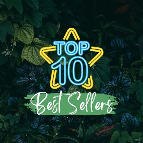 Top 10 Best Selling Products Transmutation