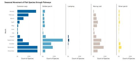 Fish Migration Murraydarling Basin Authority
