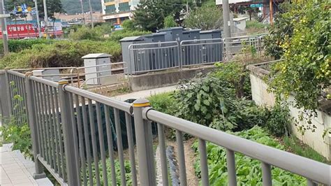 조치원 철길건널목 경부선 화물열차 하행선 통과 Youtube