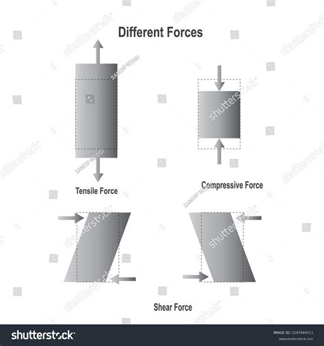 Illustration Physics Types Forces Including Compressive Stock Vector Royalty Free 2247844511