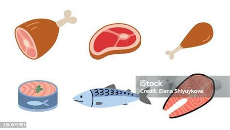 다양한 종류의 건강한 단백질 가금류 붉은 고기 및 생선 만화 스타일 트렌디 한 현대 벡터 일러스트 레이 션은 흰색 배경에 고립 손으로 그린 평면 디자인 가금류에 대한 스톡