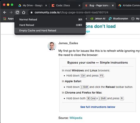 Bug Page Icons Dont Load 5 By Billfrench Bugs Coda Maker Community