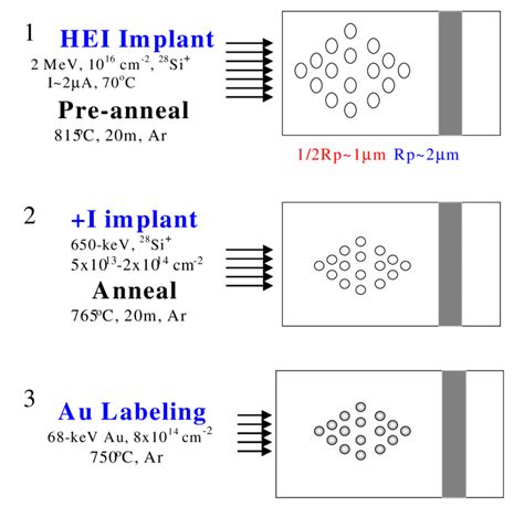 Schematic Of The 3 Step Experiment To Determine The Calibration Factor Download Scientific