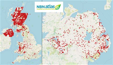 Bbc Winterwatch And Nbn Atlas Pine Marten Distribution Maps National