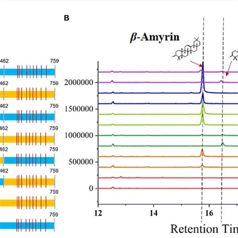 Functional Characterization Of Chimera Protein A Diagram Of The Download Scientific Diagram