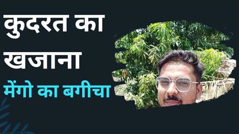 chalo live mango khatehe mango k bagicheme mengo vlogs dipak makvana