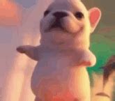 Pibble Ai  Pibble Ai Dancing Descubre Y Comparte 