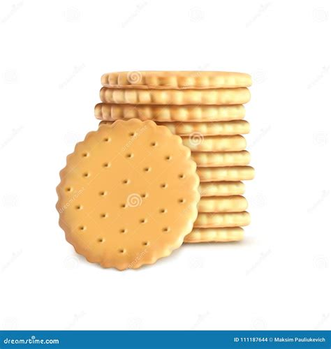 Vector Stack Of Round Biscuit Cookies Template Mockup For Crackers