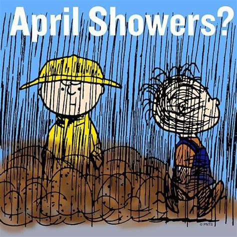 April Showers Bring May Flowers Meme At Sandra Madrigal Blog