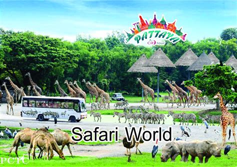Safari World Bangkok Tickets Price And Show Timings 2026