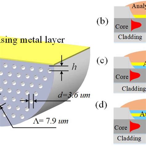 A Cross Section Of The D Shaped Pcf Spr Sensor Schematic Of The Download Scientific Diagram