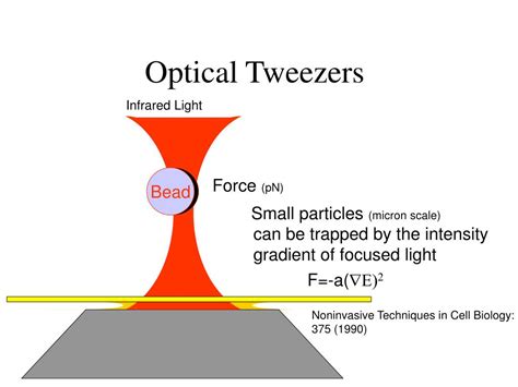 Ppt Single Molecule Detection And Manipulation Powerpoint