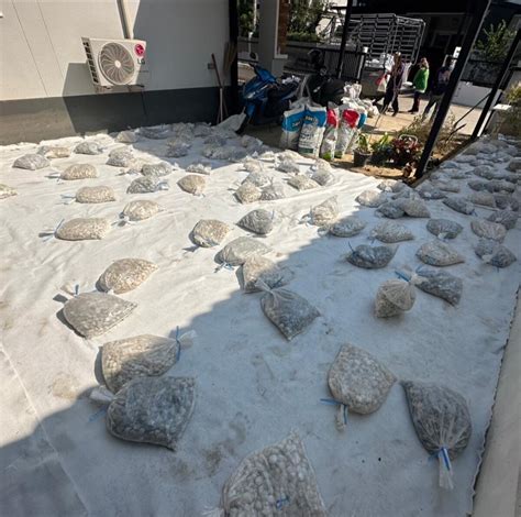 🪨 เทหินบ้านลูกค้า หมู่บ้านสบายโฮม 4 🪨 🪴หินฟ้าเทา และ หินขาว เบอร์ 2 370 ถุง 🪴พื้นที่ประมาณ 65