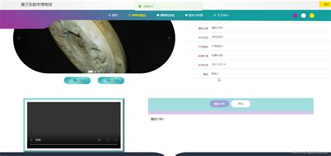 django唐三彩数字博物馆 程序 开题报告 csdn博客