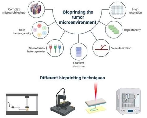 Ilaria Parodi On Linkedin 3d Bioprinting As A Powerful Technique For Recreating The Tumor