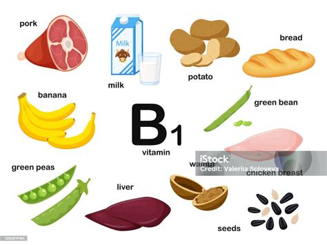 비타민 B1이 함유된 식품이 있는 직사각형 포스터 티아민 의학 다이어트 건강한 식생활 인포그래픽 이름이 있는 제품입니다 흰색 배경에 고립 된 플랫 만화 음식 일러스트레이션