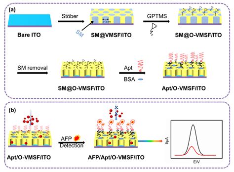 Biosensors Free Full Text Vertically Ordered Mesoporous Silica Film