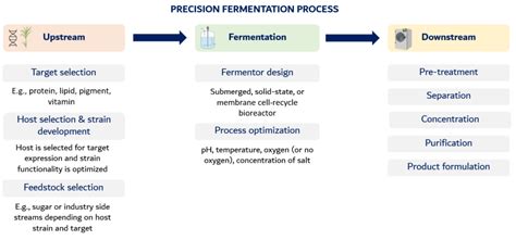 Fermentation