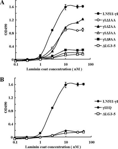 Binding Of 61 Integrin To Laminin 511 Mutants 96 Well Microtiter Download Scientific Diagram