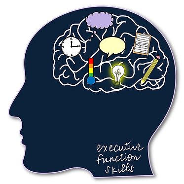 Executive Functioning Darling Pediatric Therapy Naperville Il