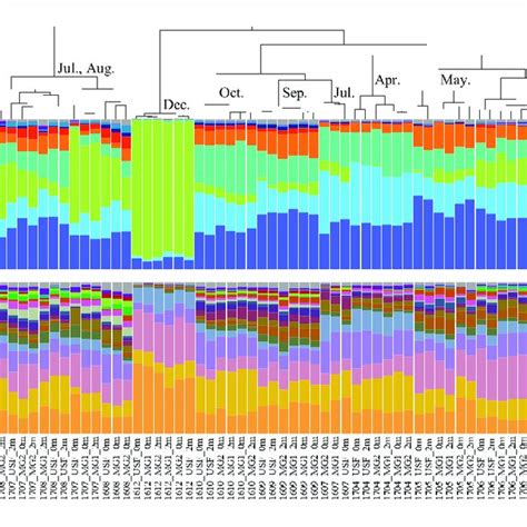 Relative Abundance Of A Total Bacterial Community Structure Phylum Download Scientific