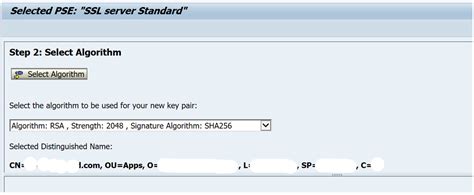 SAP ABAP Central Simple Way To Renew NW ABAP SSL Certificate With STRUST Replacement Wizard