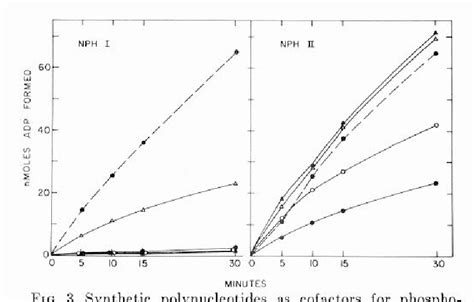 Figure 3 From Two Nucleic Acid Dependent Nucleoside Triphosphate Phosphohydrolases From Vaccinia