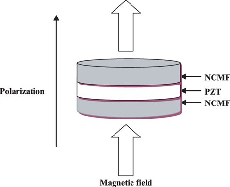 The Schematic Structure Of A Laminate Composite Download Scientific
