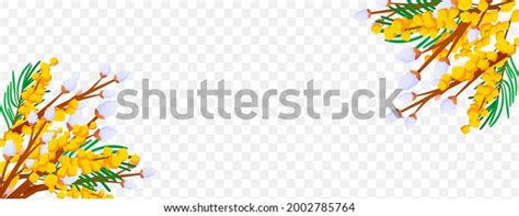 Spring Flowers Decorative Corner Design Elements Stock Vector Royalty